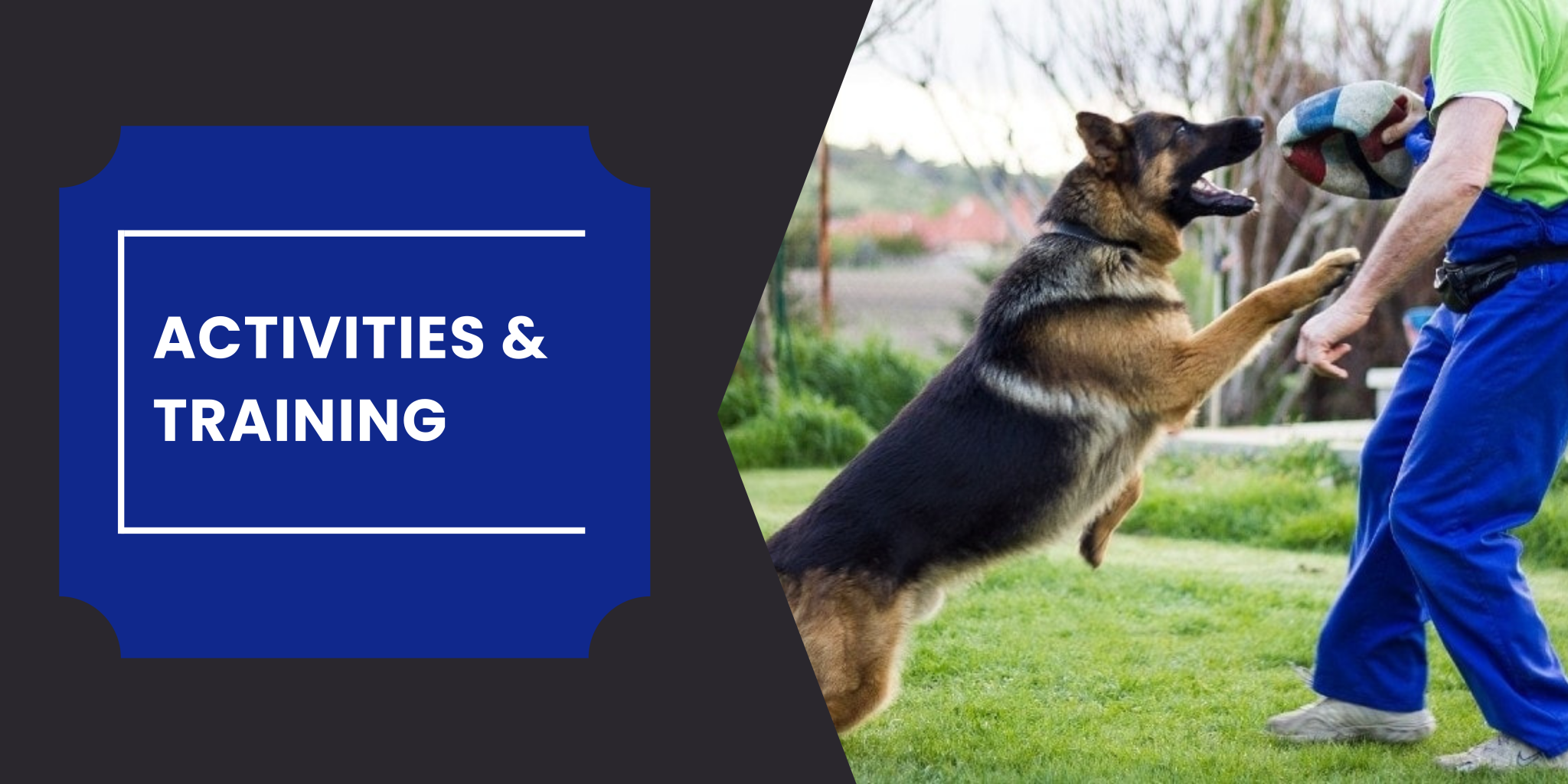 ACTIVITIES & TRAINING - German Shepherd Place