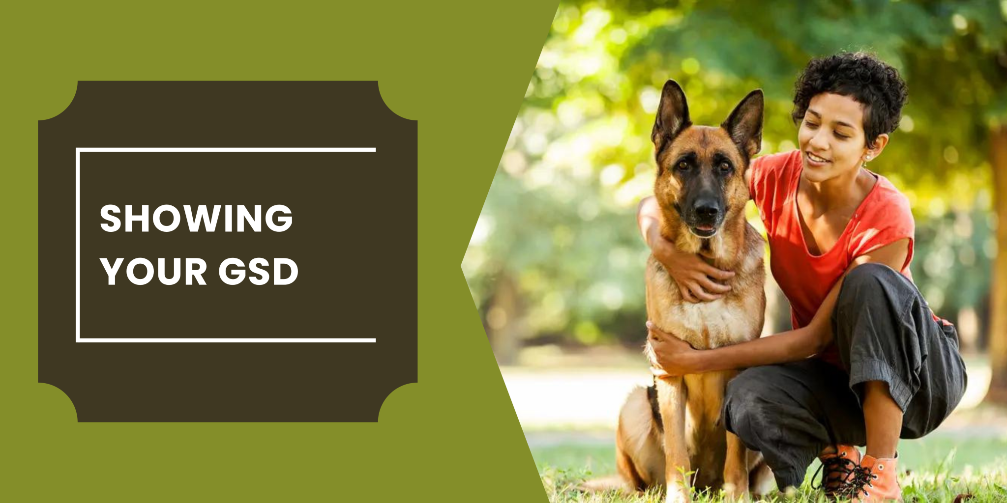 SHOWING YOUR GSD - German Shepherd Place